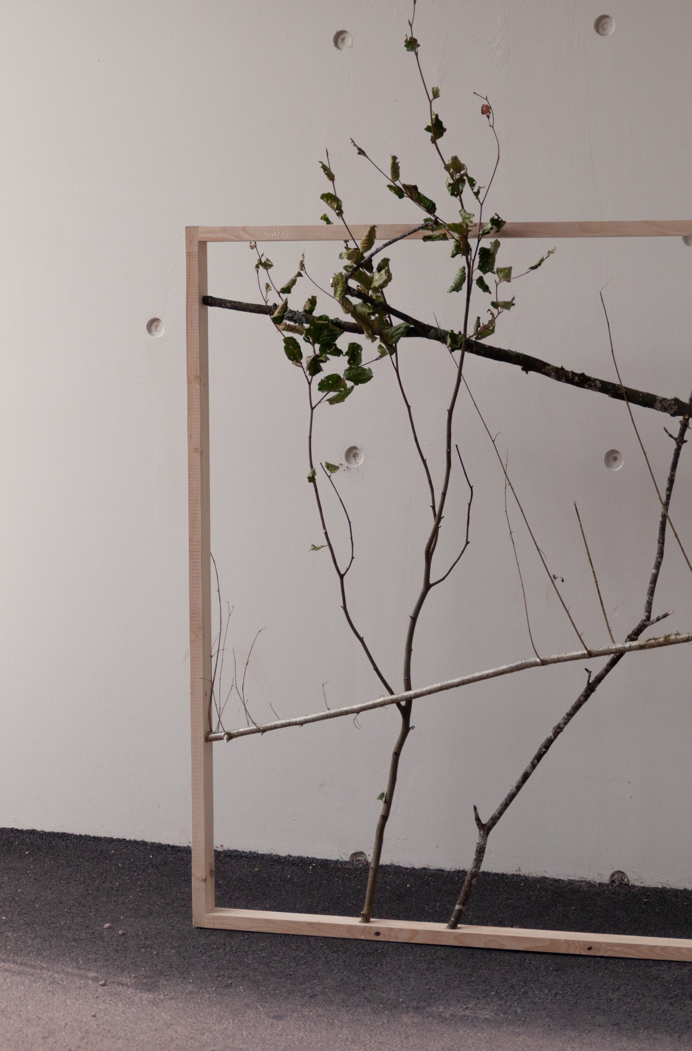 Phloème Studio – Leelou Guével-Balbusquier